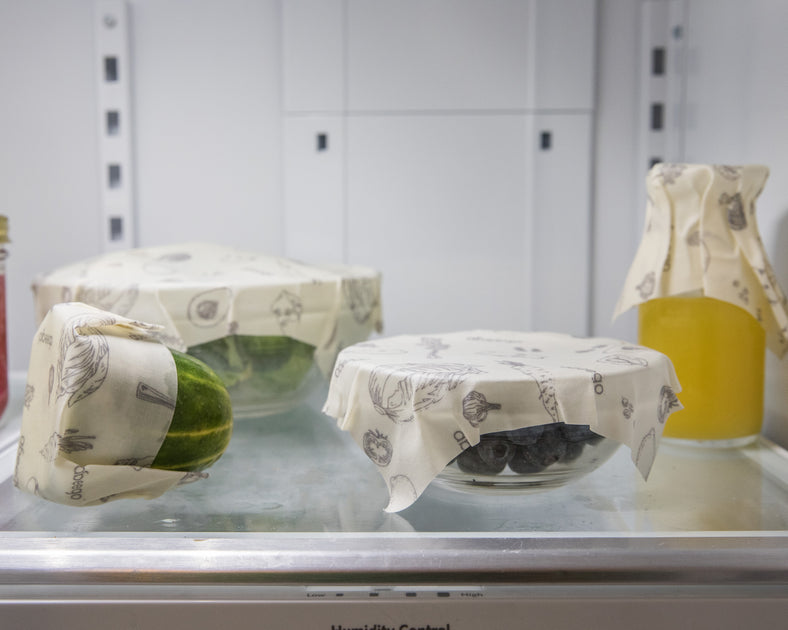 3 Reasons Why Food Spoils, Even with Abeego