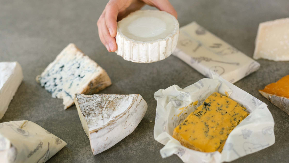 How to Keep Cheese Fresh: Expert Tips for Storing Them Longer – Abeego